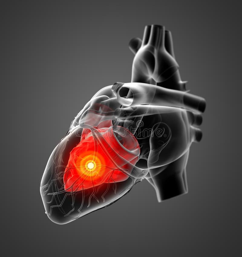 3D Rendering Illustration of Heart Stock Illustration - Illustration of ...
