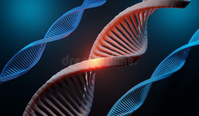 3d Render Helix Complementary Strand of DNA of RNA. Sequences Genetic ...