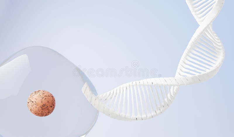 3d Render Helix Complementary Strand of DNA of RNA. Sequences Genetic ...