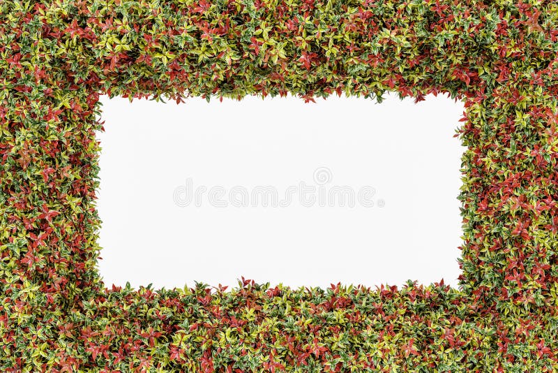 3d Render, Horizontal Floral Frame Colorful Leaf Bush with Copy Space ...