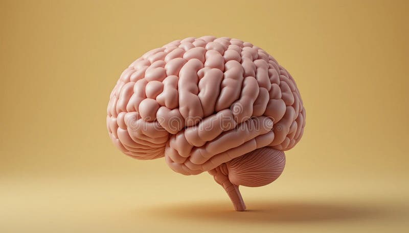 3D Render of a Human Brain on a Yellow Background Stock Illustration ...