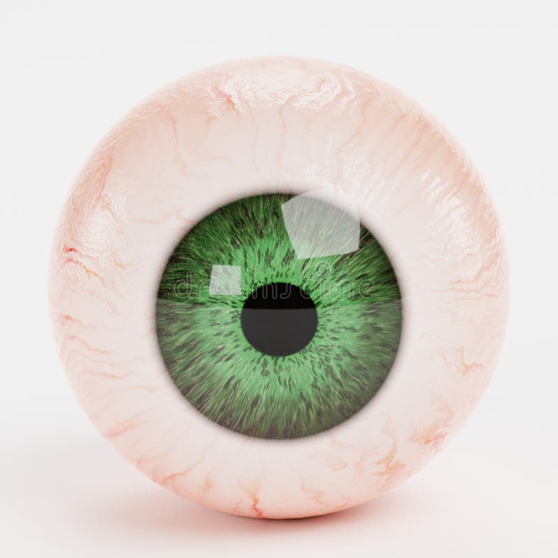 3D Render of Human Eye stock illustration. Illustration of head - 204472315
