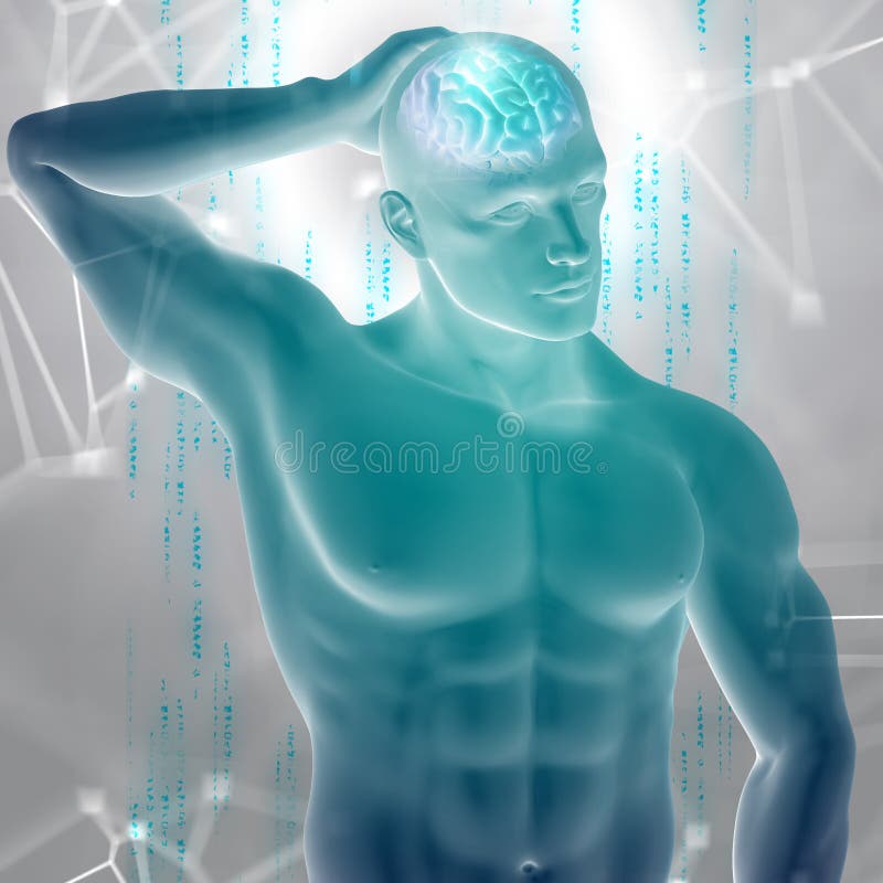 3D Render of a Human Figure Thinking with Brain Highlighted Stock ...