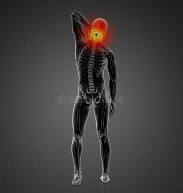 Half Human Half Skull Stock Illustrations – 191 Half Human Half Skull ...