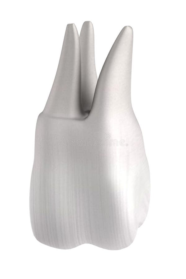 3d render of human tooth stock illustration. Illustration of dentist ...