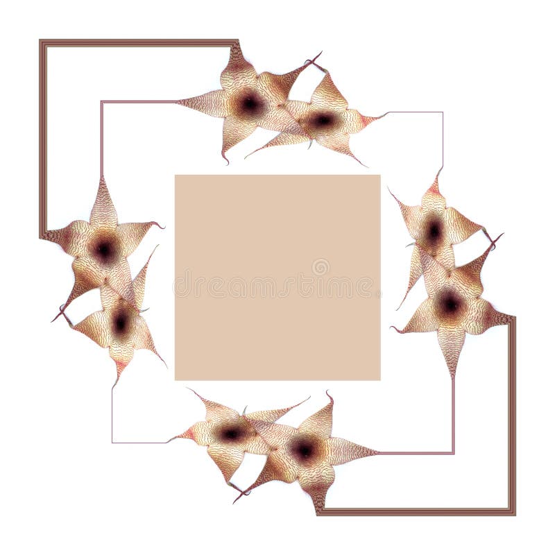 3D Render Flower Background Frame Stock Illustration - Illustration of ...