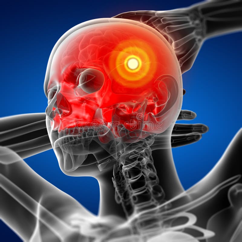 Half Human Half Skull Stock Illustrations – 225 Half Human Half Skull ...