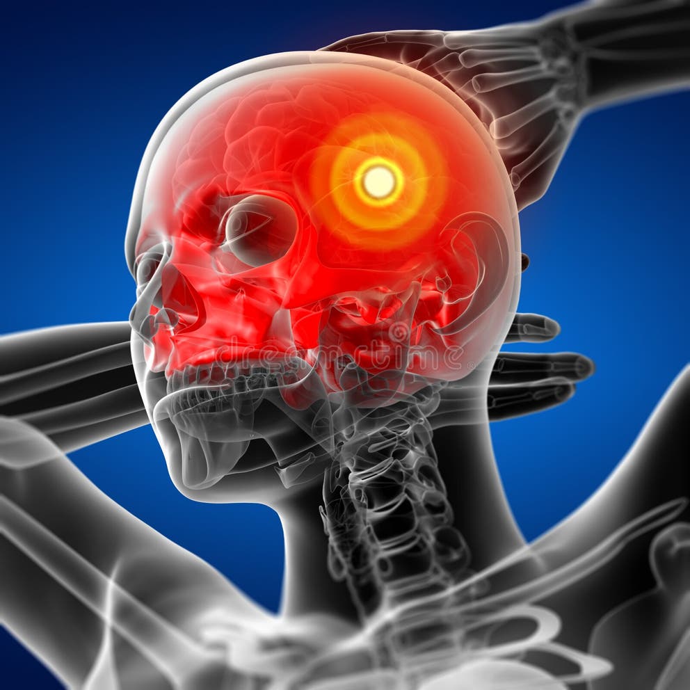 Skull Bottom View Stock Illustrations – 32 Skull Bottom View Stock ...