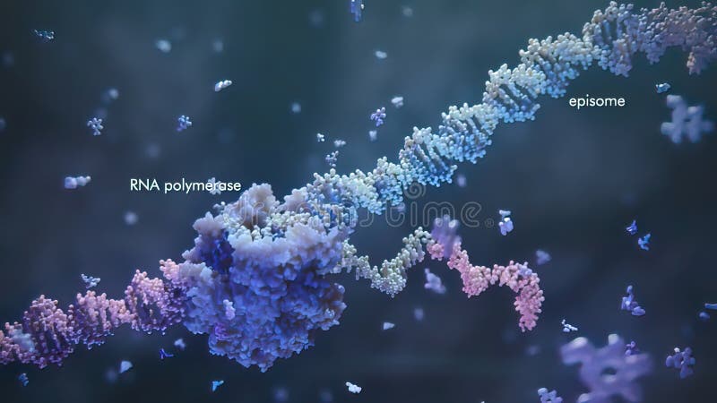 3d Render Illustration of Single Strand Ribonucleic Acid. RNA Research ...