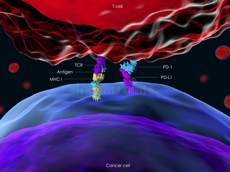 Cell Protein Stock Illustrations – 15,754 Cell Protein Stock ...