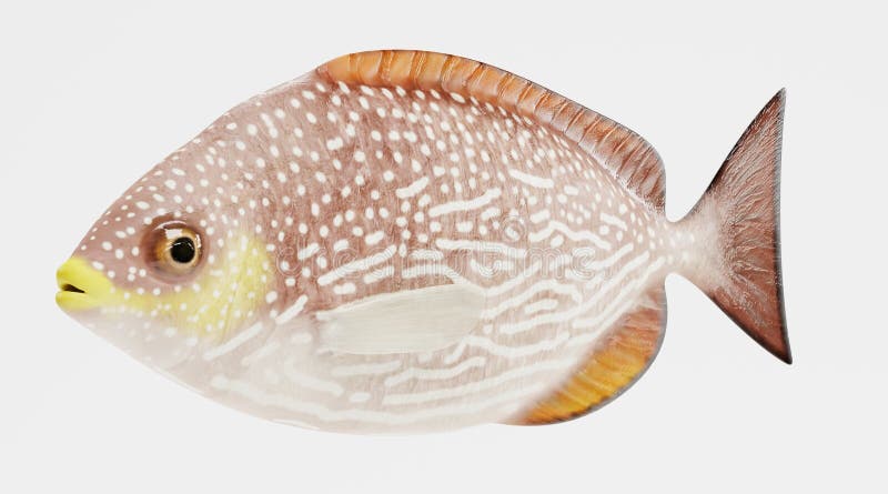 Rabbitfish, Fish Icon. Detailed Set of Sea Foods Illustrations in Neon ...