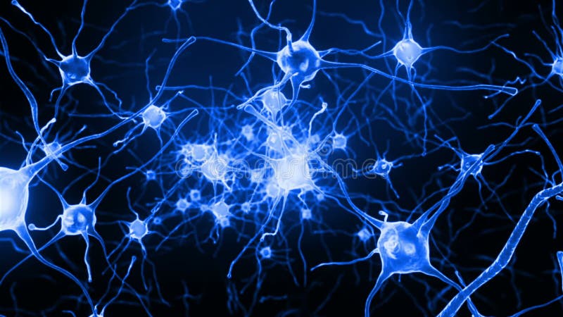 Camera Zoom Inside a Kid Head To a Brain with Neurons during Synapses ...