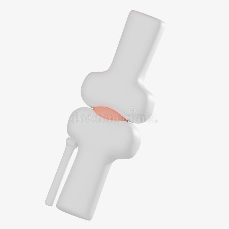 3D Render, Knee Joint for Orthopedic and Medical Visualization, Icon ...