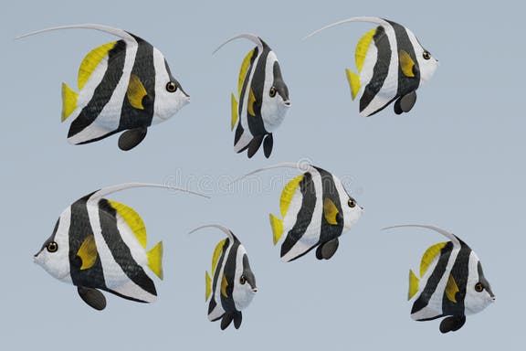 3d Render of Longfin Bannerfish Stock Illustration - Illustration of ...