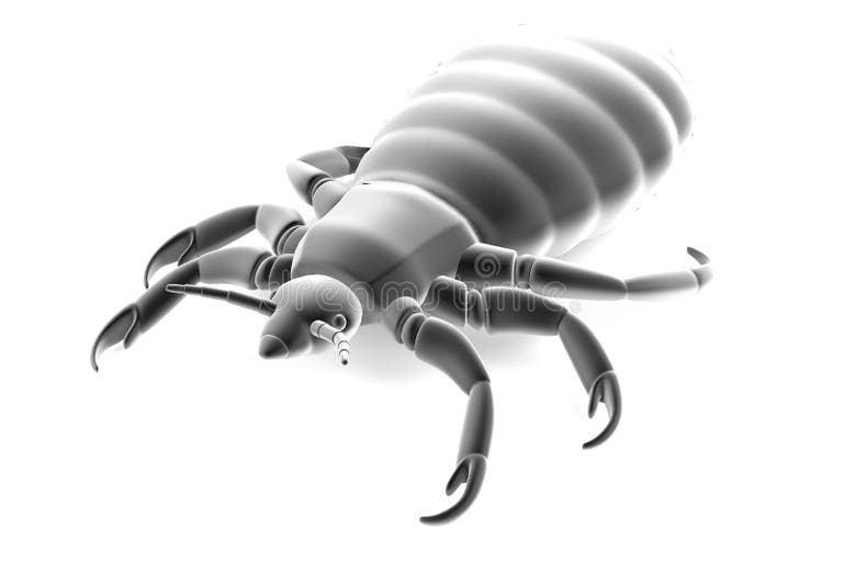 Louse Stock Illustrations – 1,443 Louse Stock Illustrations, Vectors ...