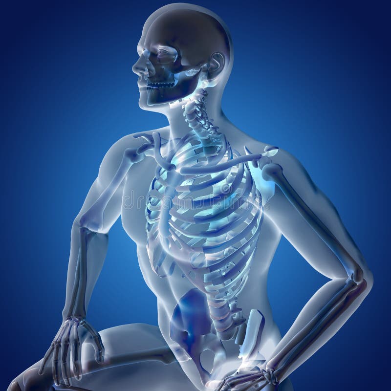 3D Render of a Male Medical Figure with Skeletal System Highlighted ...