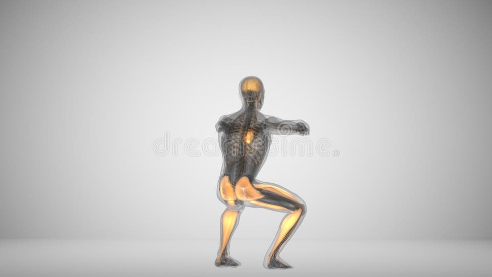 Target Muscles Stock Illustrations – 146 Target Muscles Stock ...