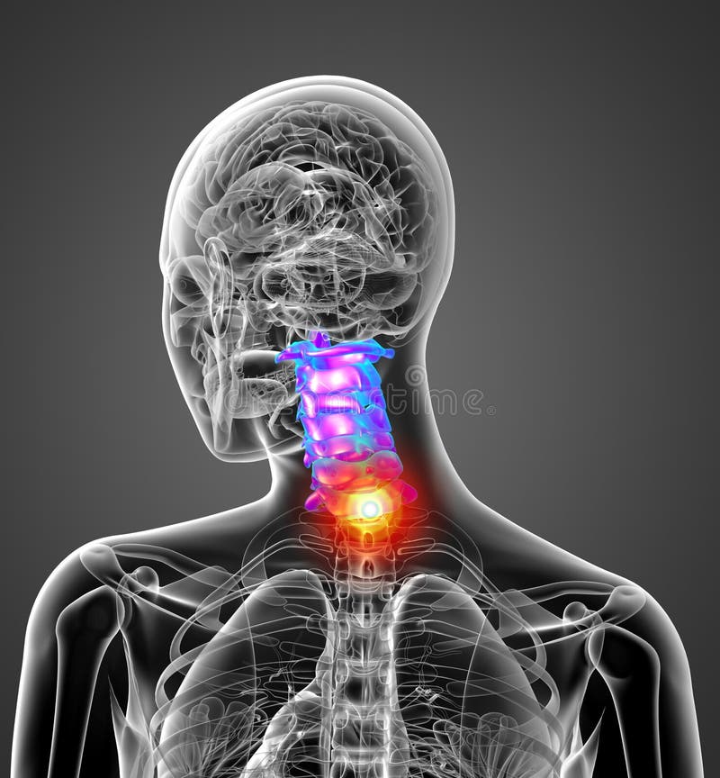 3d Render Medical Illustration of the Cervical Spine Stock Illustration ...