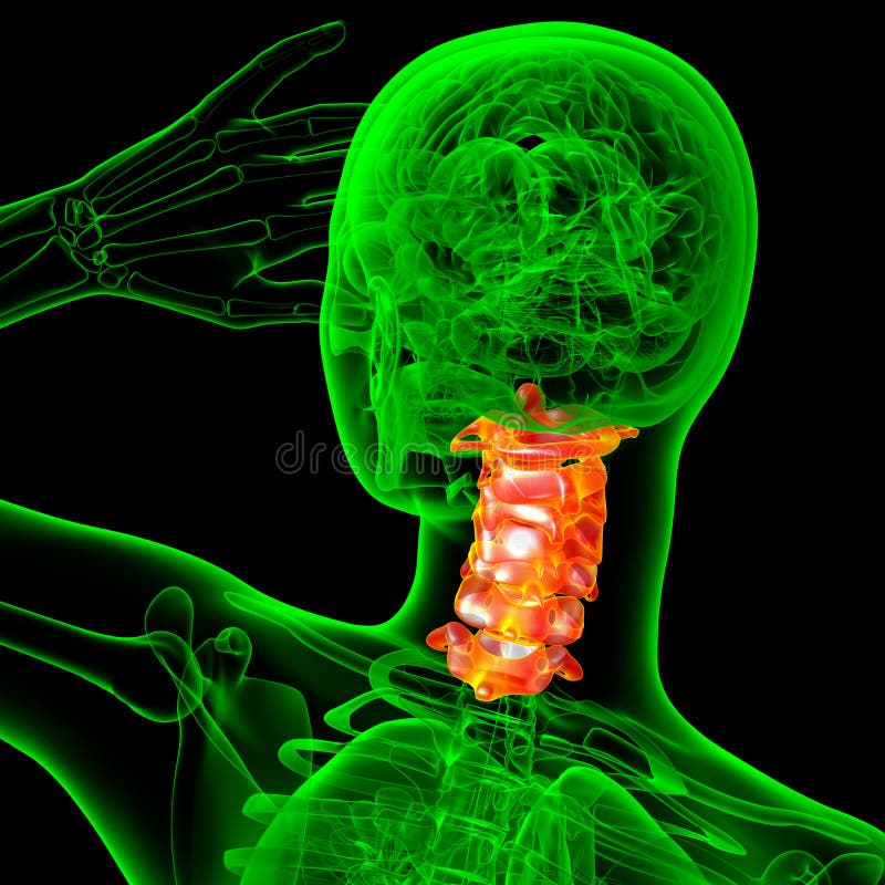 3d Render Medical Illustration of the Cervical Spine Stock Illustration ...