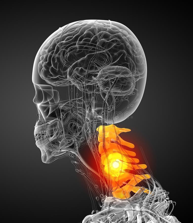 3d Render Medical Illustration of the Cervical Spine Stock Illustration ...