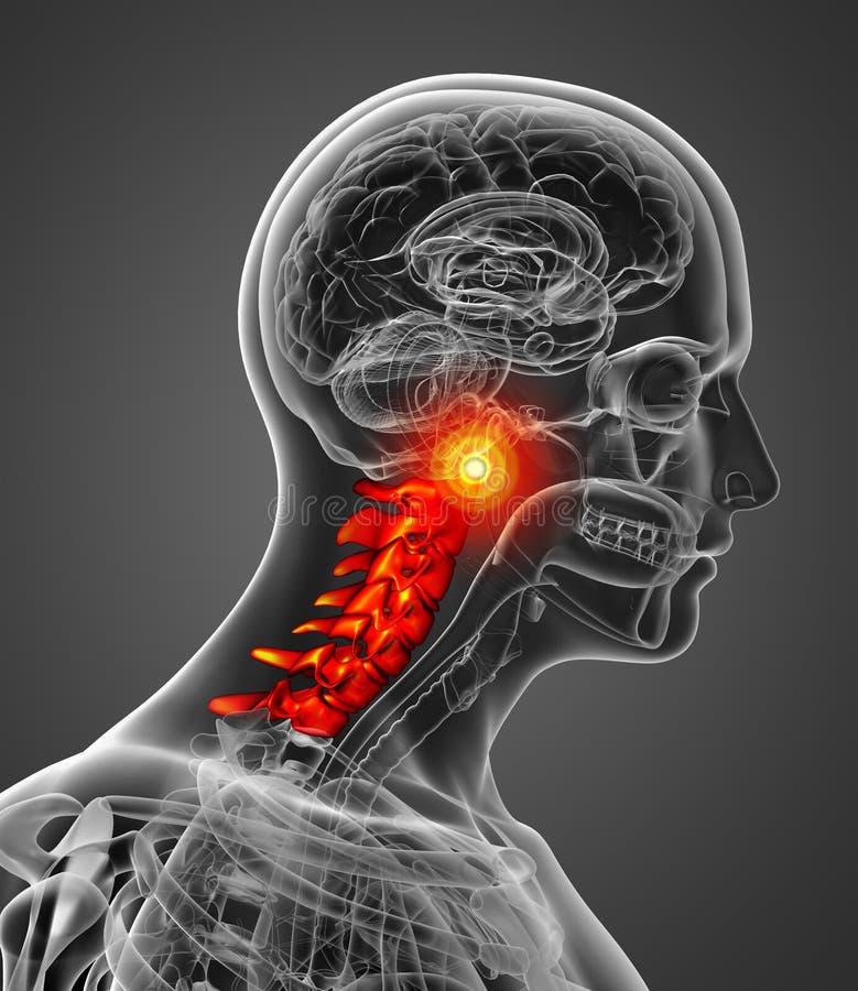 3d Render Medical Illustration of the Cervical Spine Stock Illustration ...