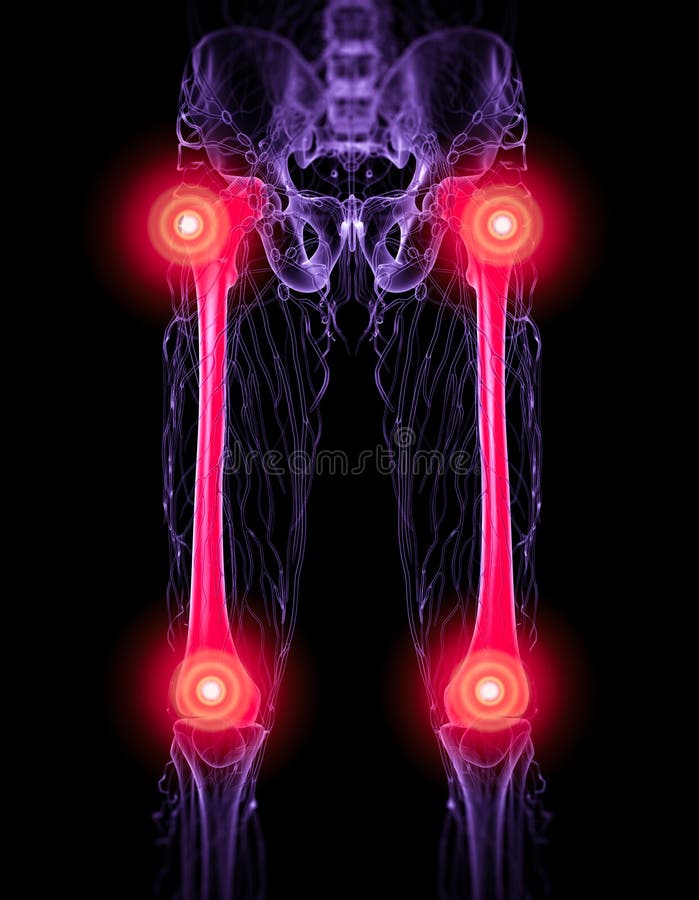 3d Render Medical Illustration of the Femur Bone Stock Illustration ...