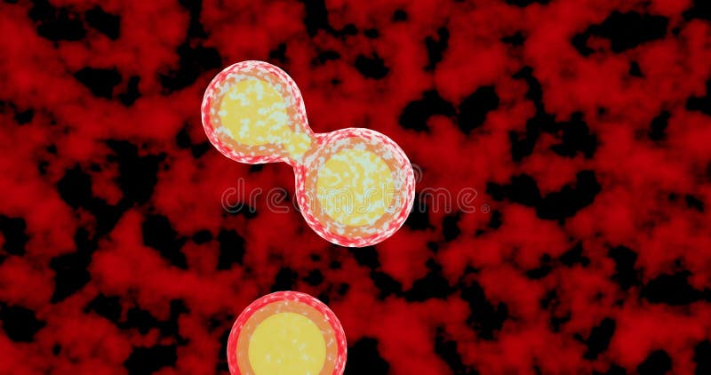 3d Render with Merging Cells Stock Footage - Video of nuclei, fluid ...