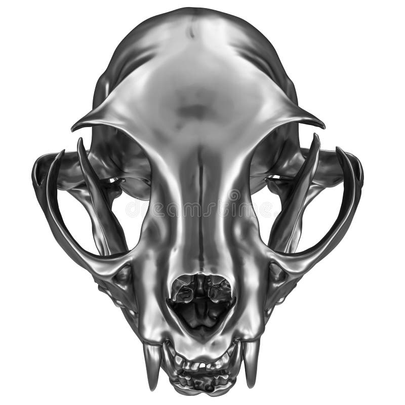 3D Render of Metallic Cat Skull Stock Illustration - Illustration of ...