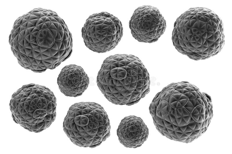 Morula stock illustration. Illustration of cells, water - 11894961