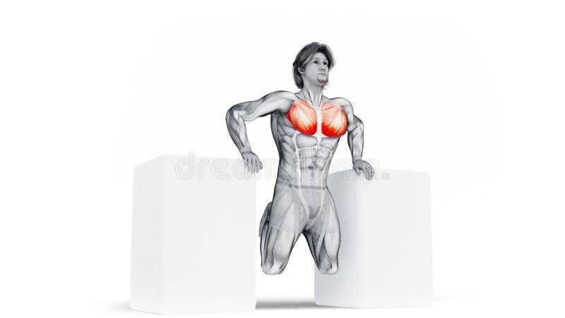 3d Render of Muscular Character Training for His Chest Muscle and ...