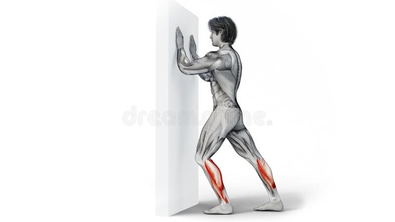 3d Render of Muscular Man Figure Character Training Calves Stretch ...