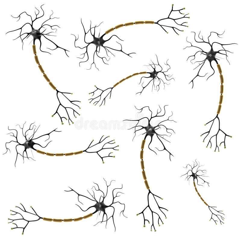 Neuron Cartoon Stock Illustrations – 1,795 Neuron Cartoon Stock ...