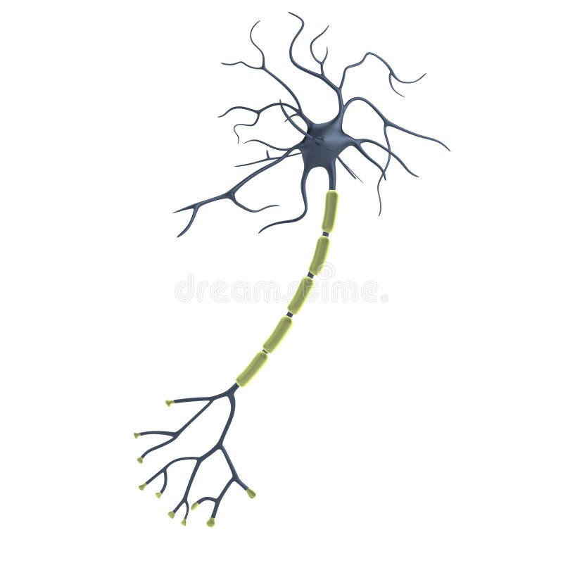 Neuron Cartoon Stock Illustrations – 1,015 Neuron Cartoon Stock ...