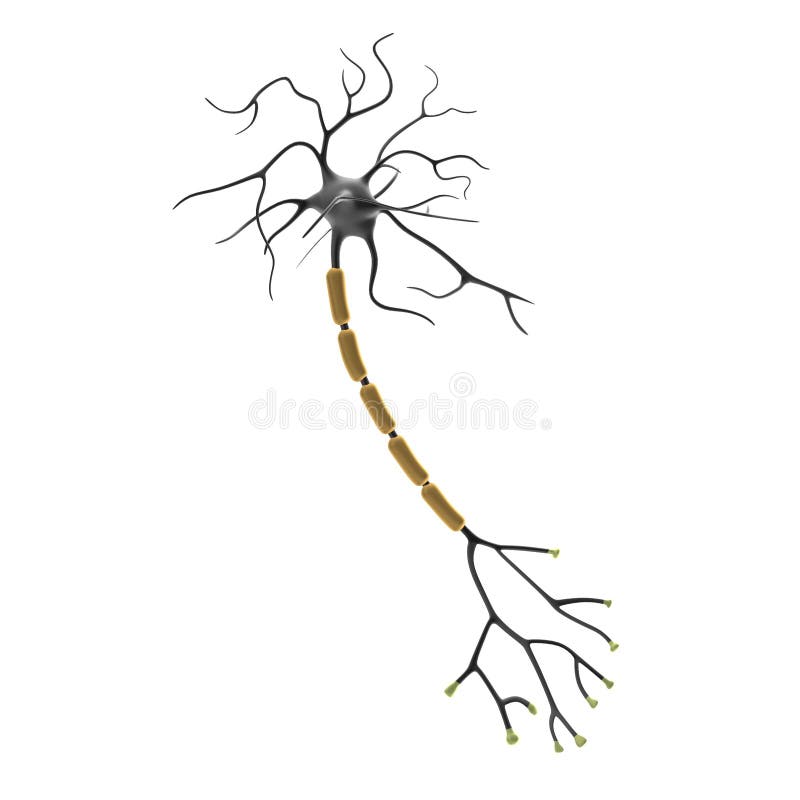Neuron Cartoon Stock Illustrations – 1,015 Neuron Cartoon Stock ...