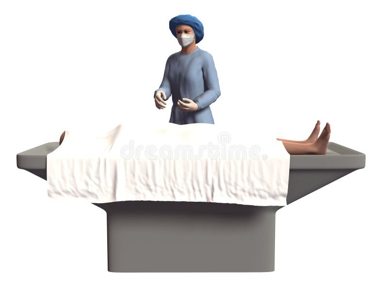 Morgue stock illustration. Illustration of horror, lying - 24456574
