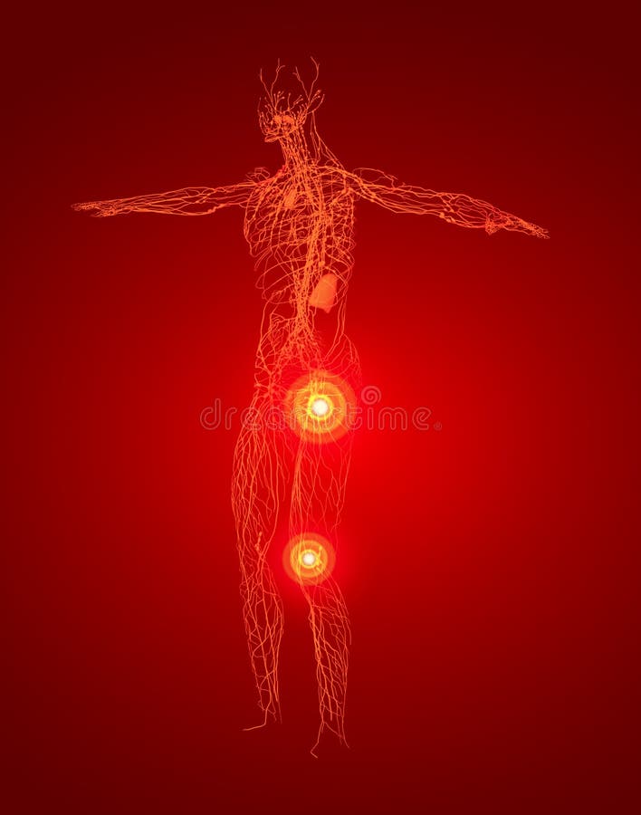 3D Rendering Illustration of Lymphatic System Stock Illustration ...