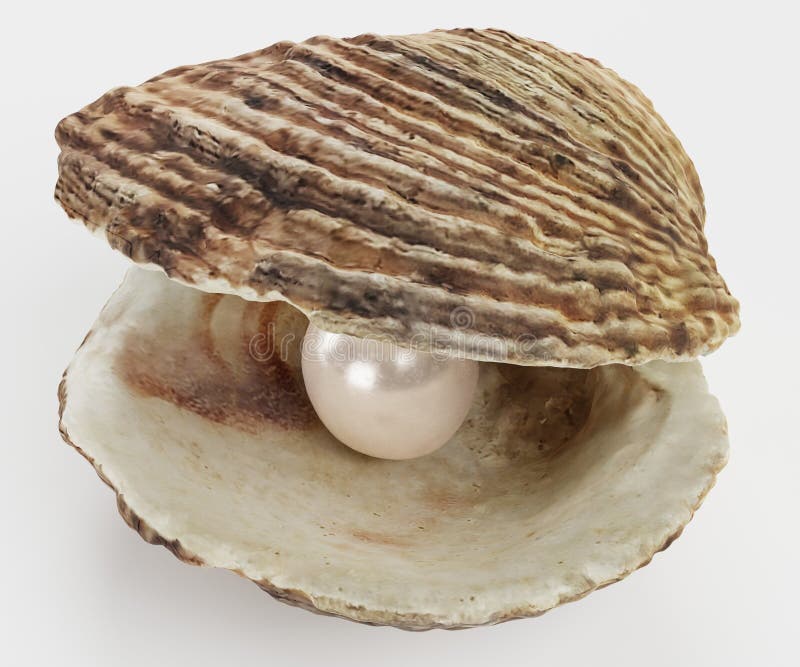 3D Render of Pearl in Shell Stock Illustration - Illustration of ...