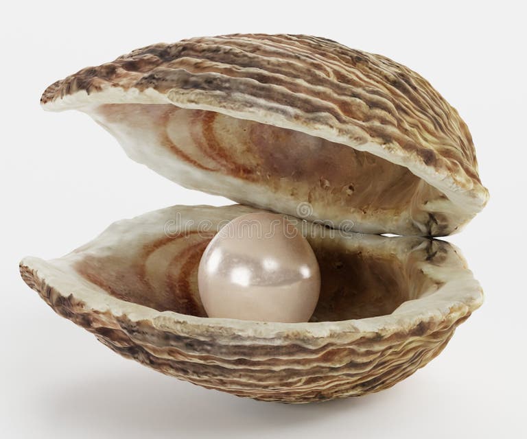 3D Render of Pearl in Shell Stock Illustration - Illustration of ...