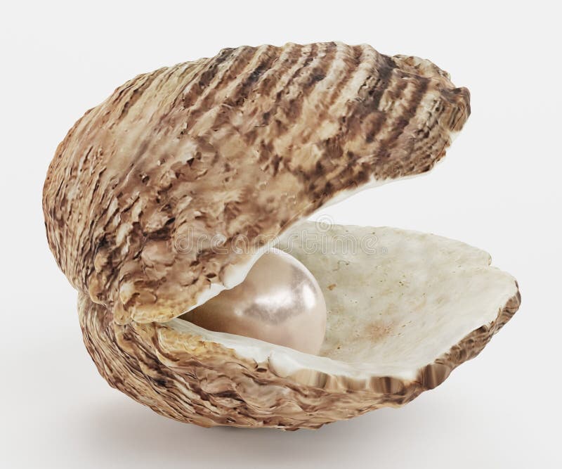 3D Render of Pearl in Shell Stock Illustration - Illustration of animal ...
