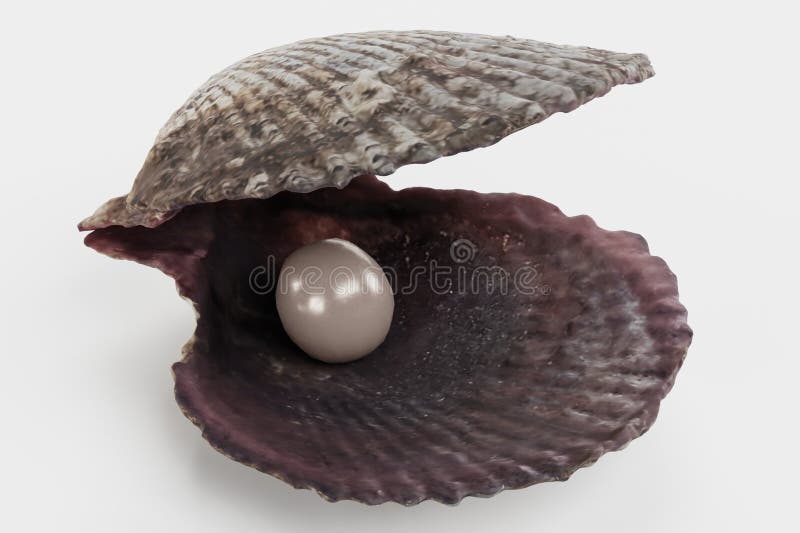 3D Render of Pearl in Shell Stock Illustration - Illustration of render ...