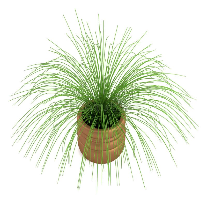 3d render of plant stock illustration. Illustration of plant - 39804148