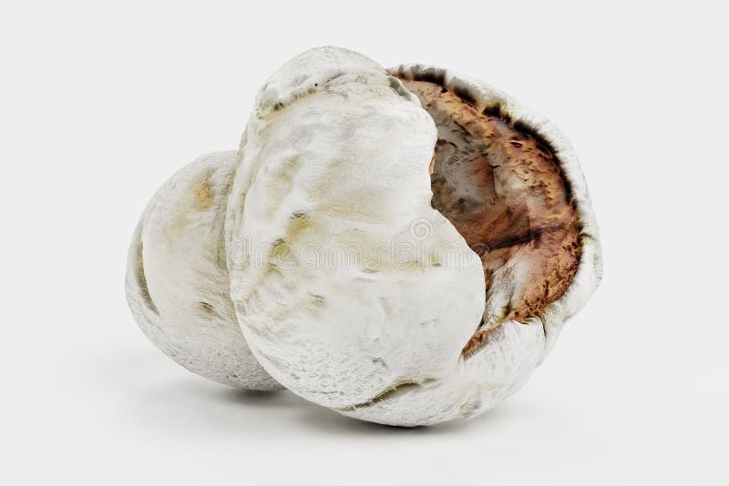 3D Render of Popcorn stock illustration. Illustration of meal - 115038984