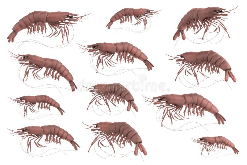 3d render of prawns stock illustration. Illustration of crustacean ...