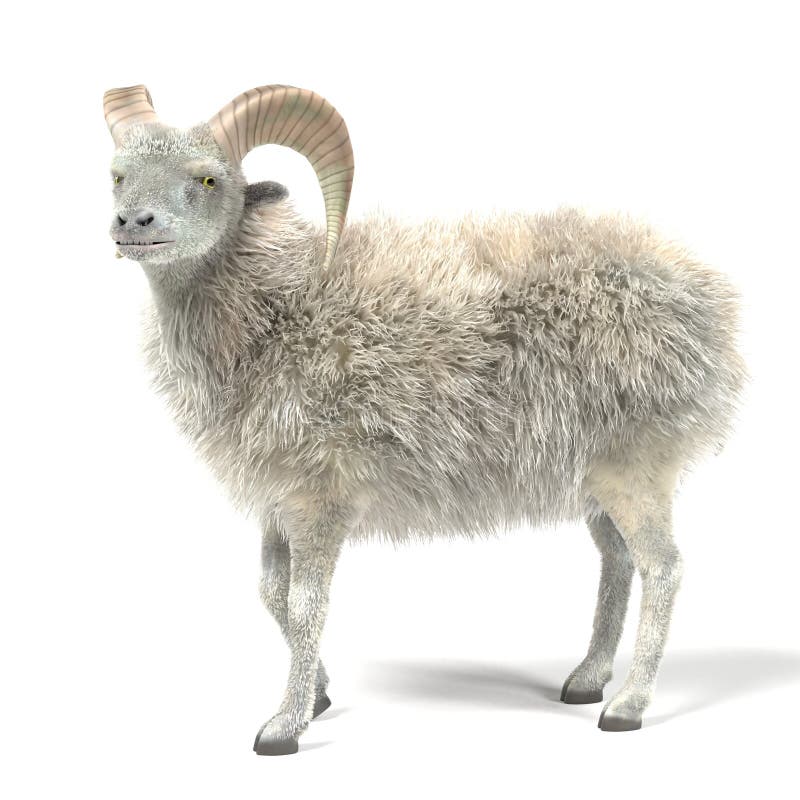 3D Render of Ram stock illustration. Illustration of argali - 105533487