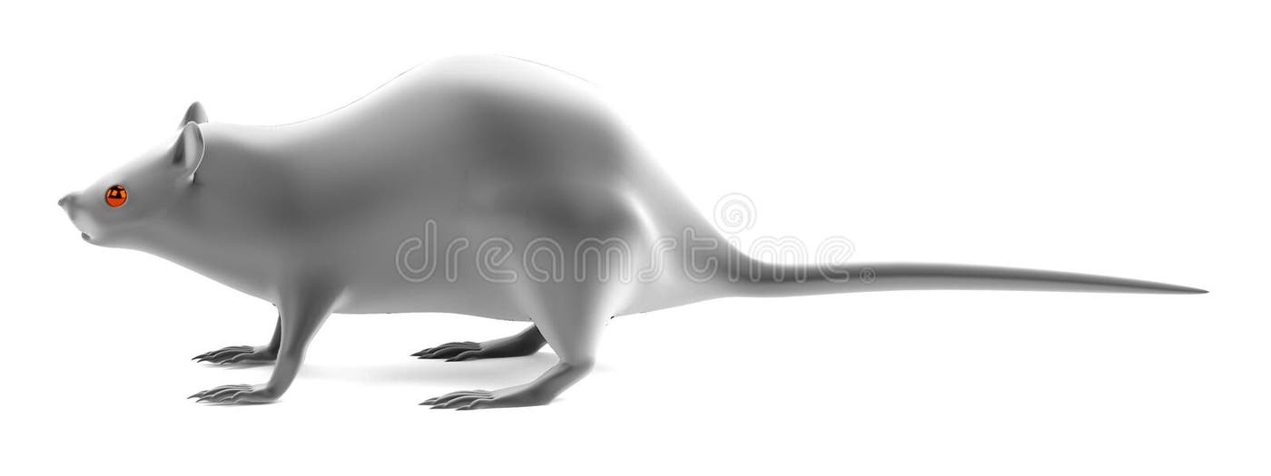 Realistic Rat Stock Illustrations – 2,763 Realistic Rat Stock ...