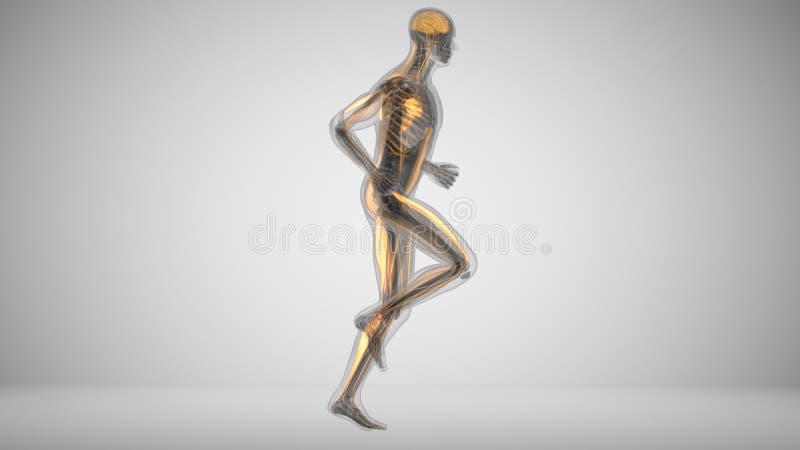 3d Render of a Running Man with Muscle Lighting Stock Illustration ...