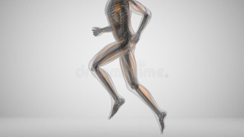 3d Render of a Running Man with Muscle Lighting Stock Illustration ...
