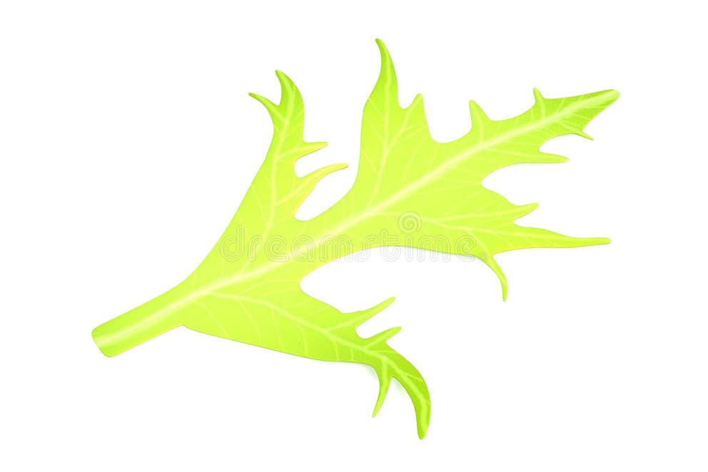 3d render of salad stock illustration. Illustration of salat - 39774092