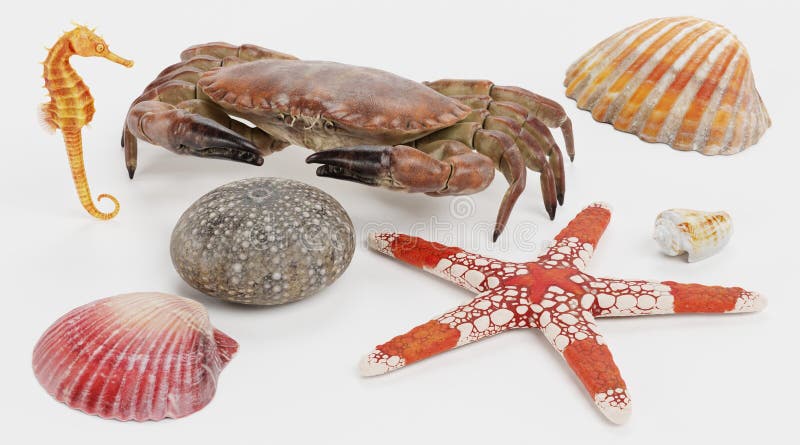 3D Render of Sea Animals stock illustration. Illustration of seahorse ...