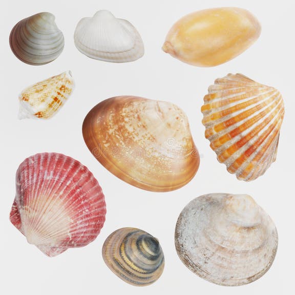 Limpet Stock Illustrations – 404 Limpet Stock Illustrations, Vectors ...